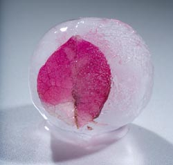 Névé Luxury Ice - COOL HUNTING®