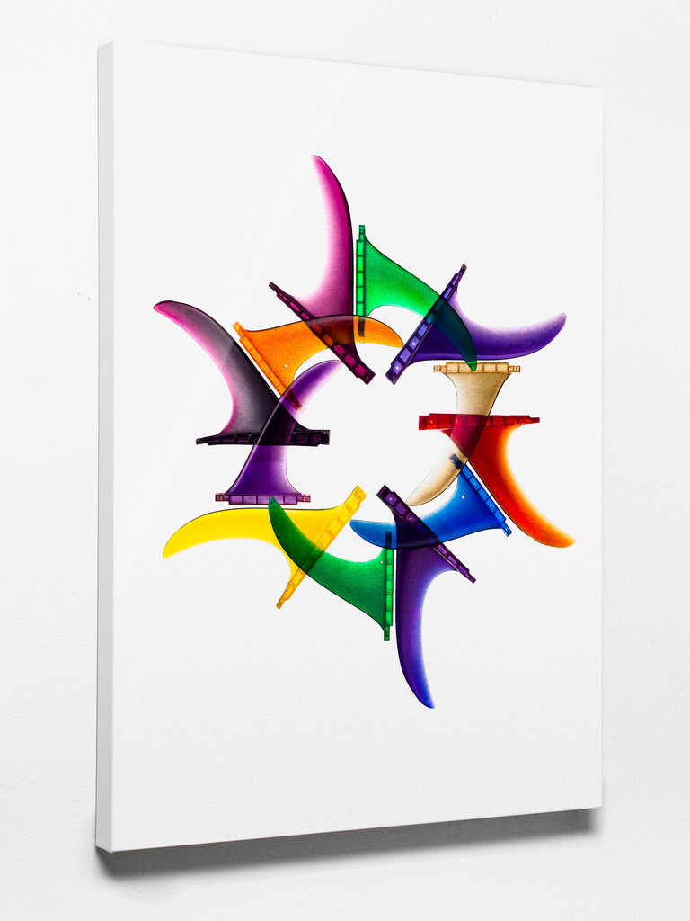 thefinproject-by-timothy-hogan-3b-112328 - COOL HUNTING®