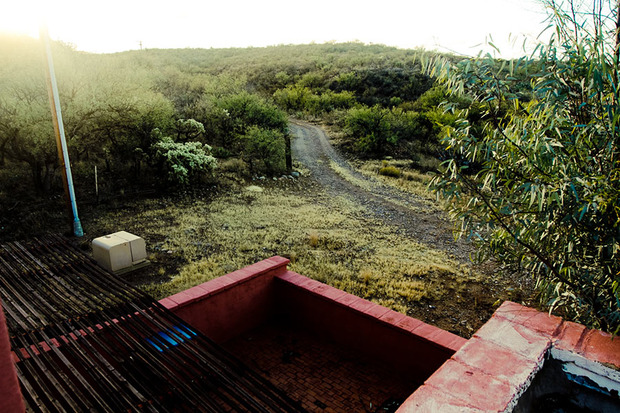 Save Rex Ranch - COOL HUNTING®