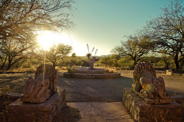 Save Rex Ranch - COOL HUNTING®