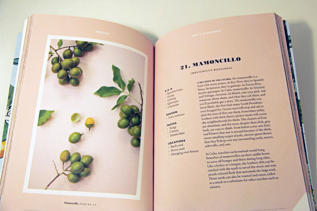 Forager: A Subjective Guide to Miami’s Edible Plants - COOL HUNTING®