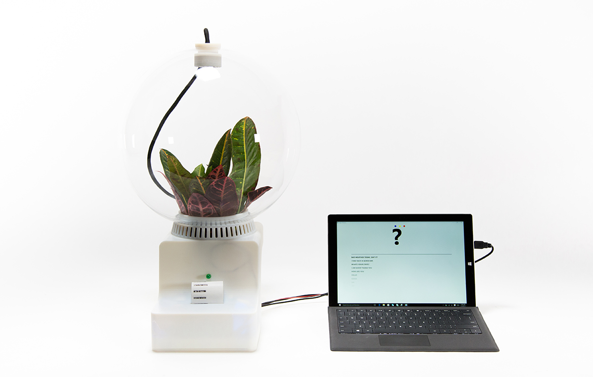 Project Florence Finds a Way to Communicate with Plants - COOL HUNTING®