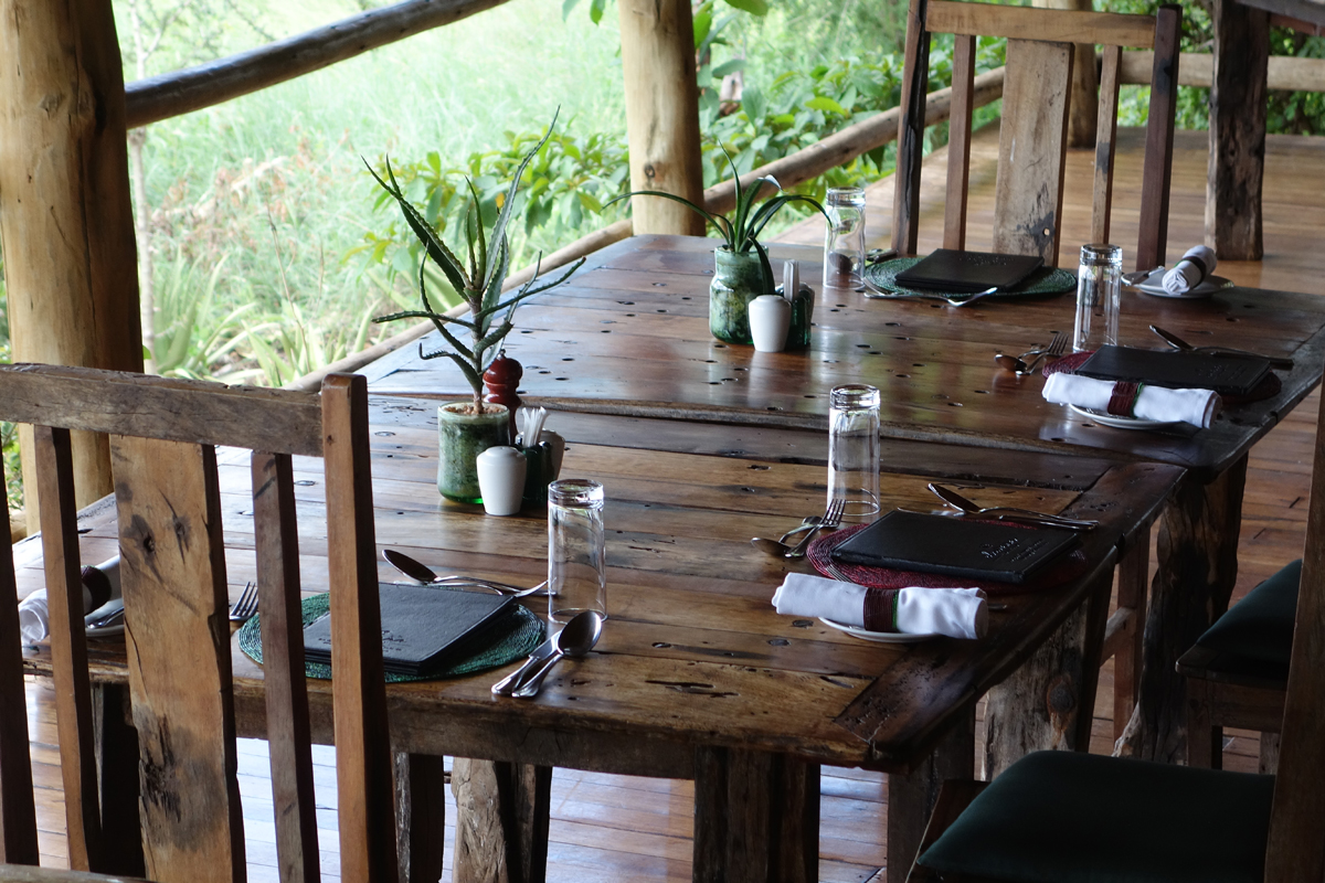 Elewana SkySafari: Lodges and Camps in Tanzania - COOL HUNTING®