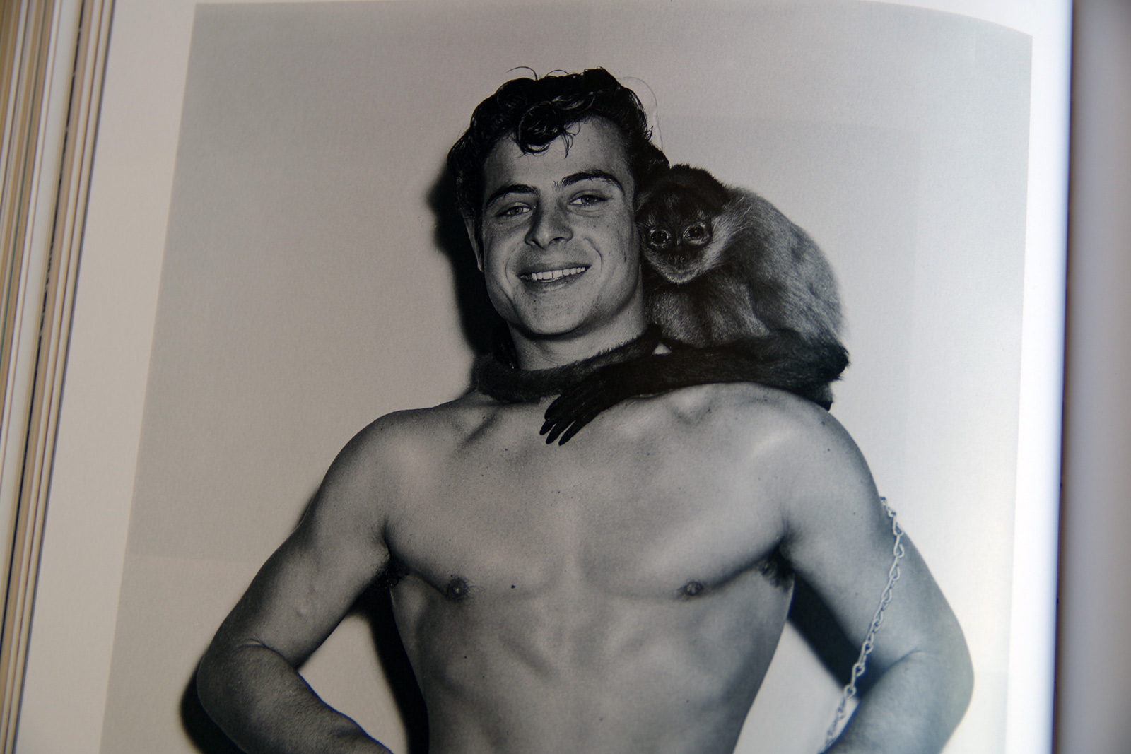 Bob Mizer’s Two-Volume “AMG: 1000 Model Directory” - COOL HUNTING®