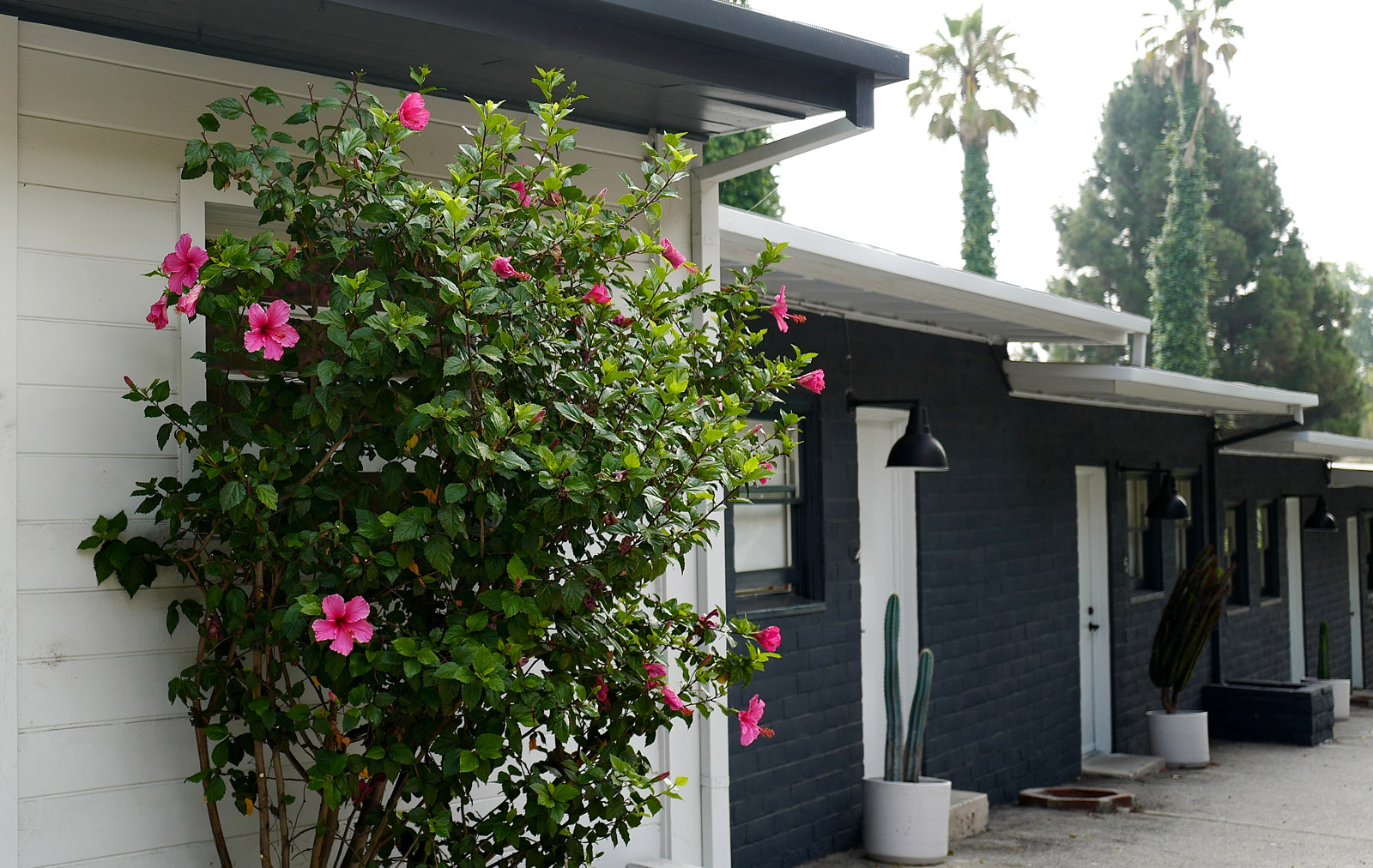 The Native Hotel, Malibu - COOL HUNTING®