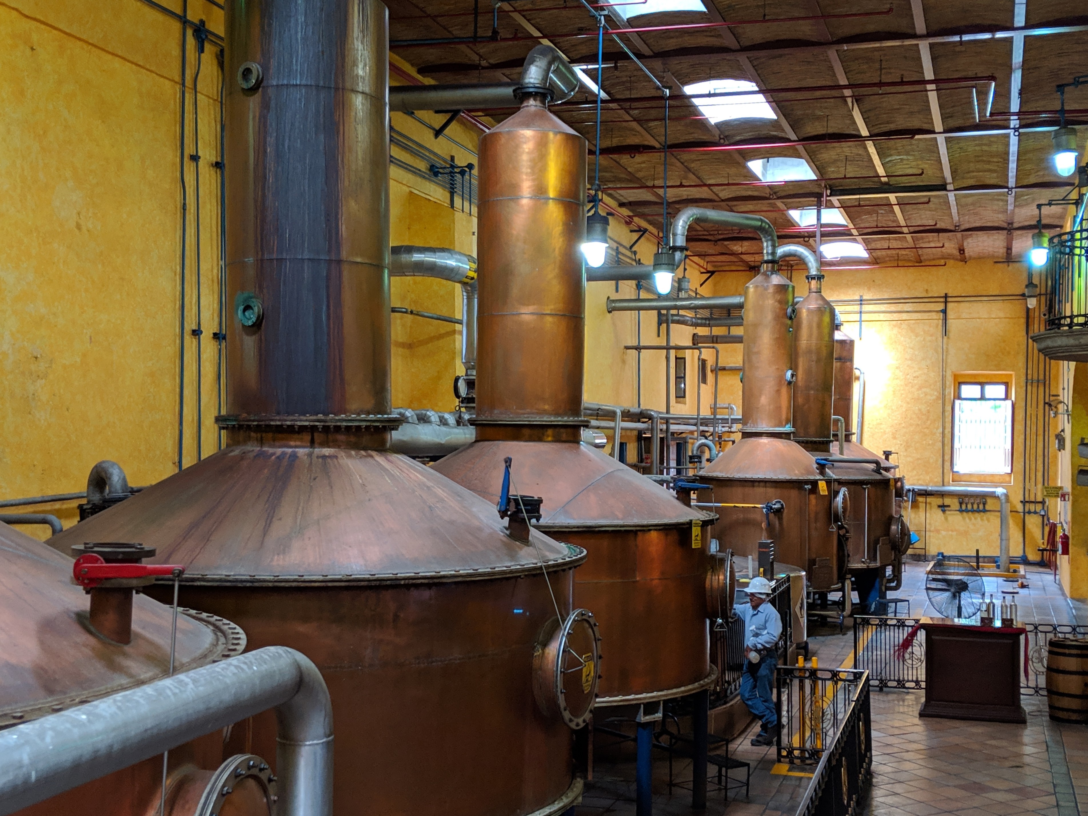 Exploring Jose Cuervo’s Farm, Distillery and Historical Cellar - COOL ...