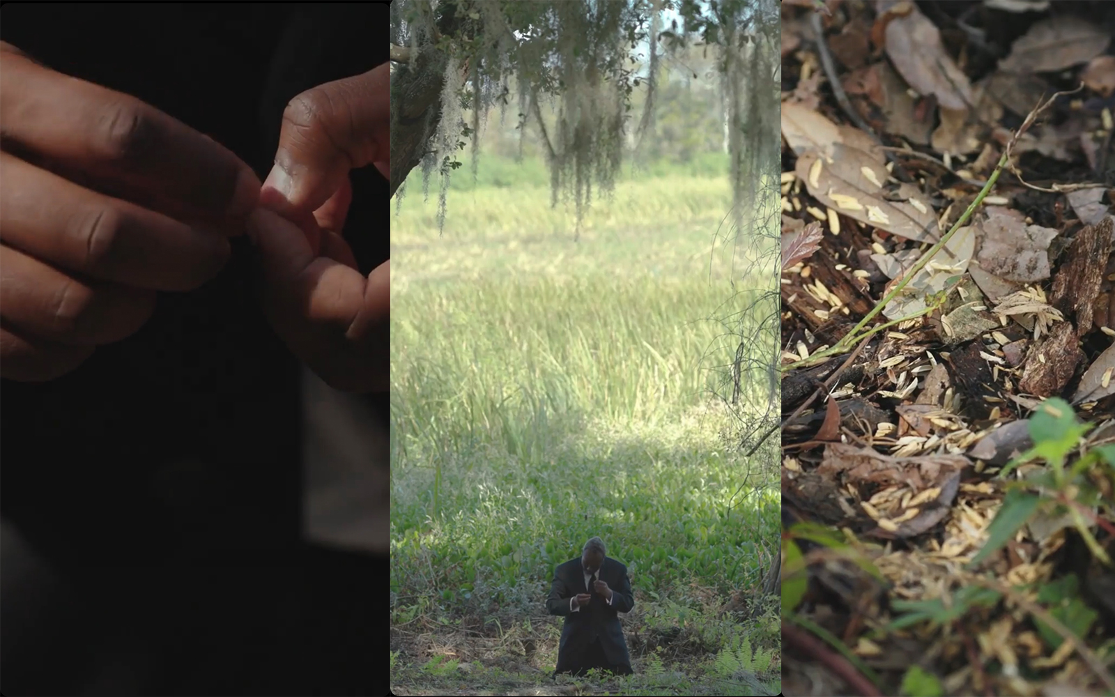 Interview: Sheldon Scott on His Powerful 13-Hour Performance Portrait ...