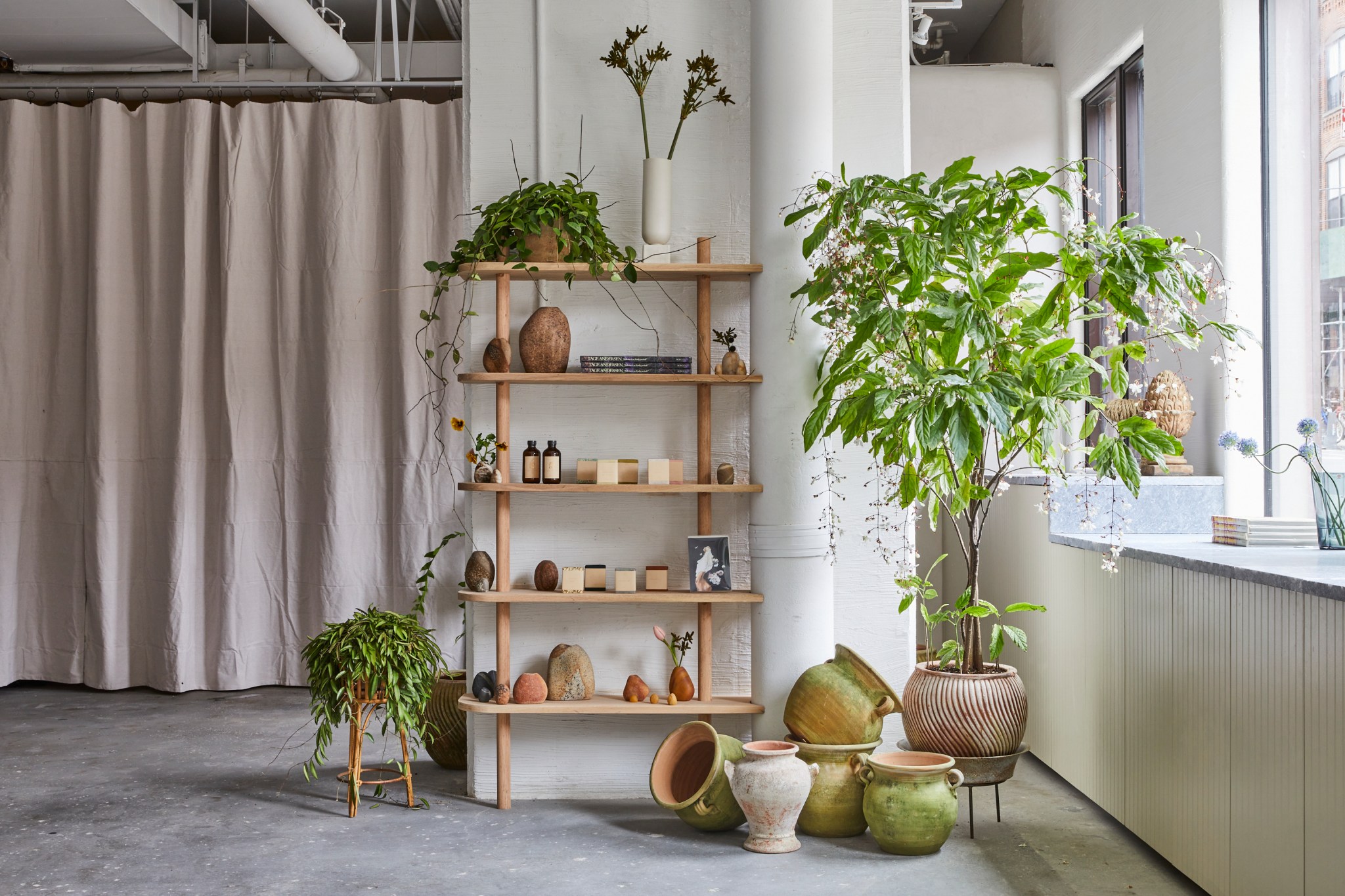 Fox Fodder Farm Opens Its Own Multifunctional Space - COOL HUNTING®