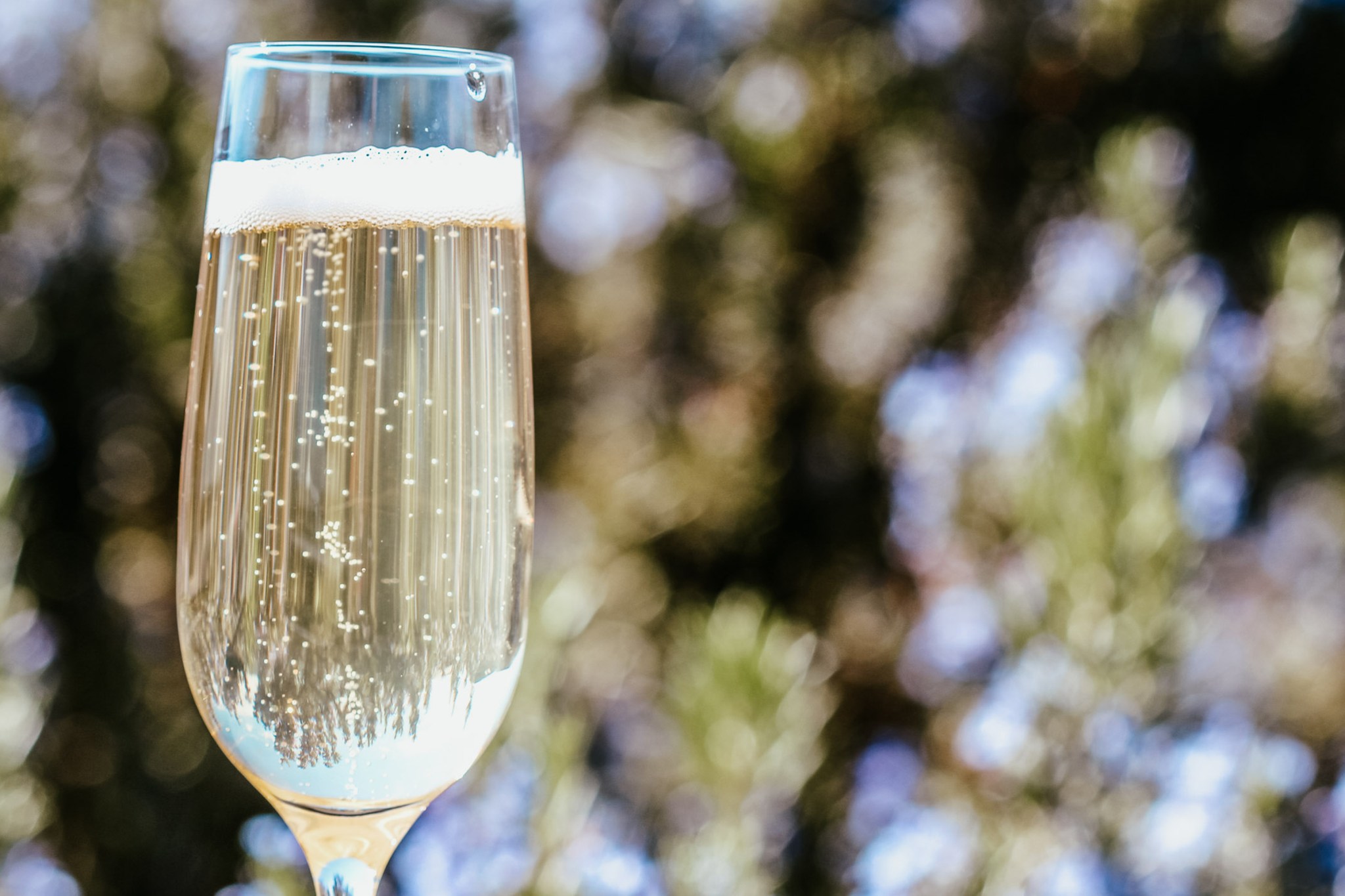 Producing Sparkling Dry Mead at Heidrun Meadery in Point Reyes ...