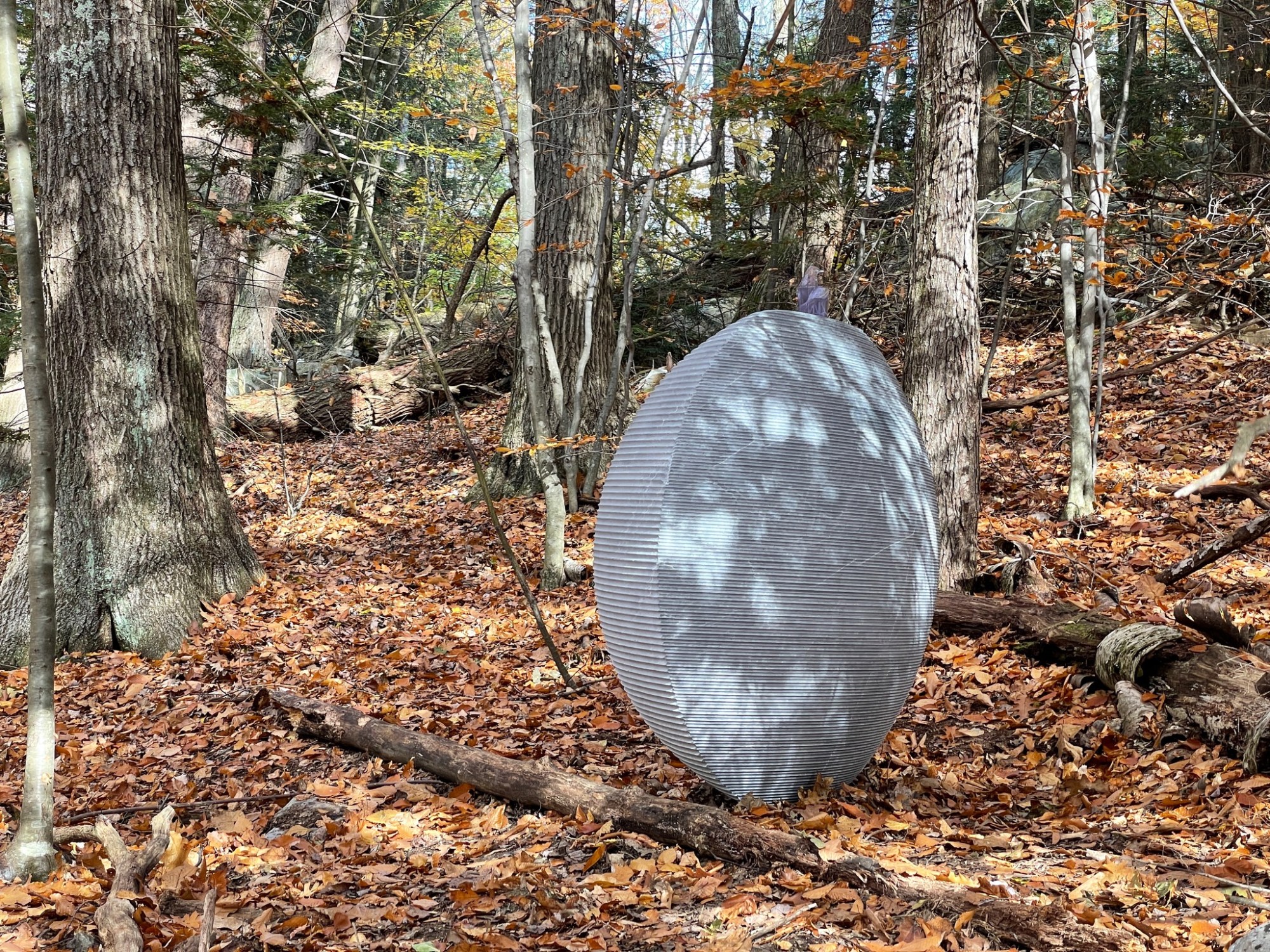 The Clark Art Institute’s Sprawling Outdoor Exhibition, “Ground/work ...