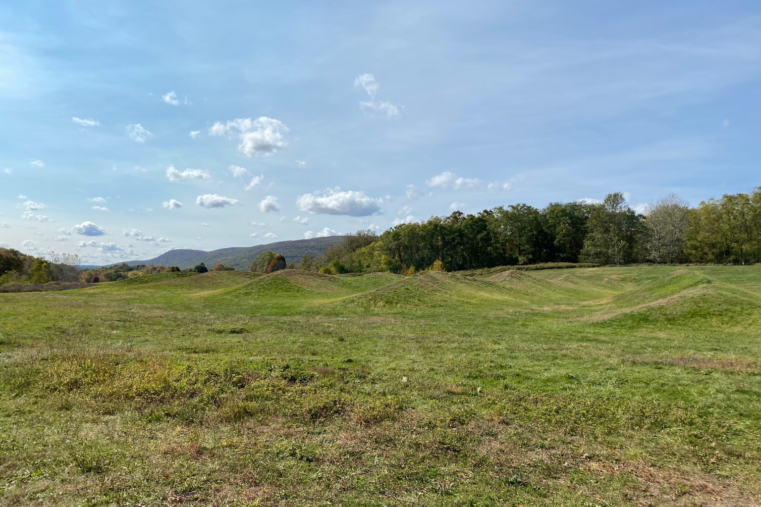 Storm King Art Center Turns 60 Years Old - COOL HUNTING®