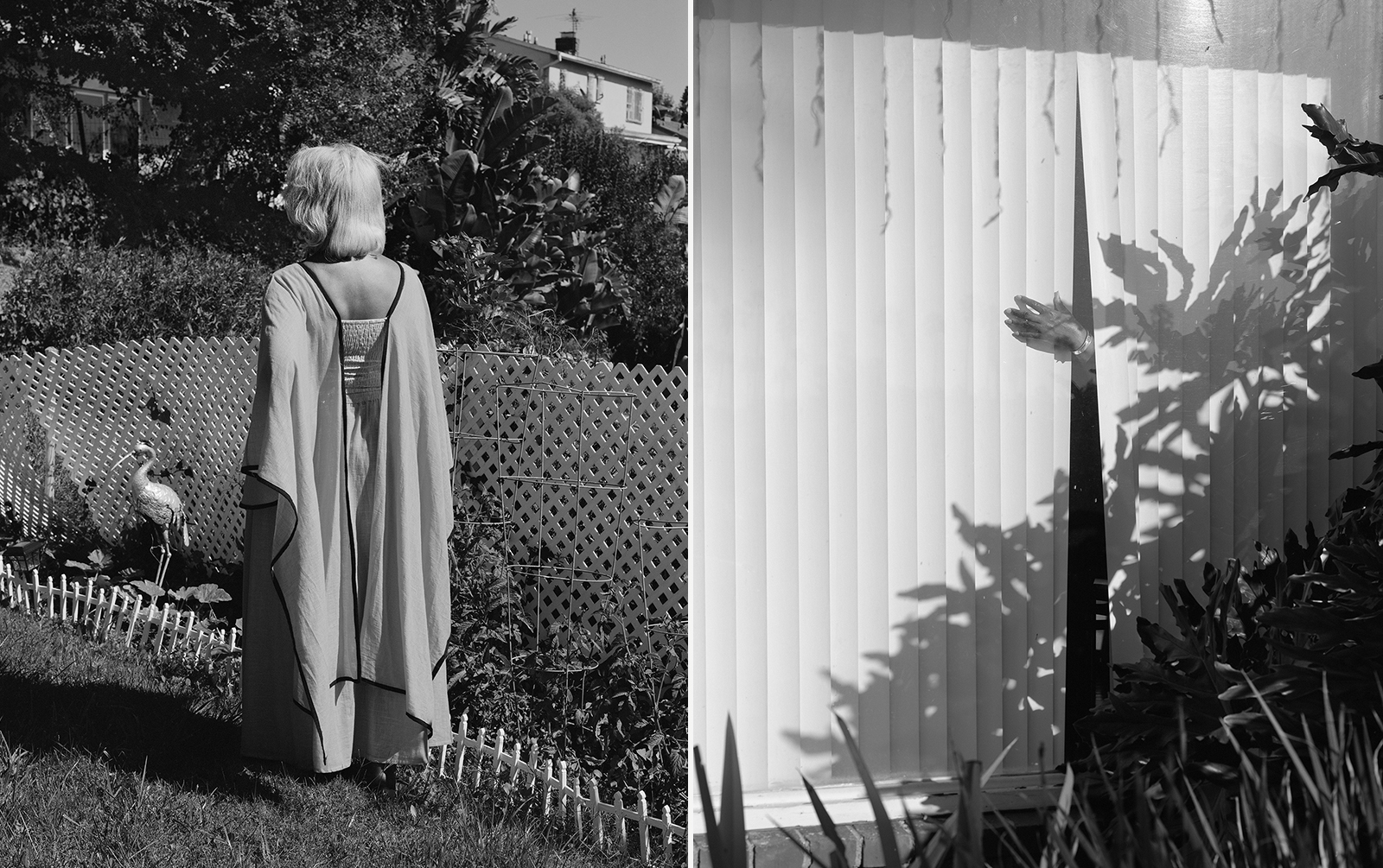 Interview: Photographer Dannielle Bowman - COOL HUNTING®