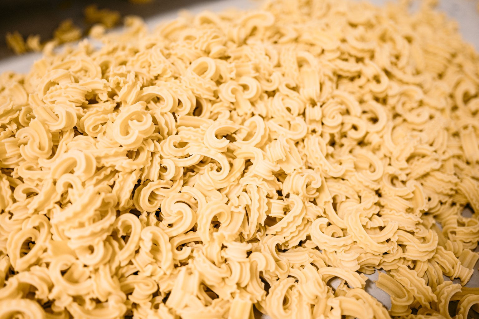 Sporkful and Sfoglini’s New Pasta Shapes, Vesuvio and Quattrotini ...