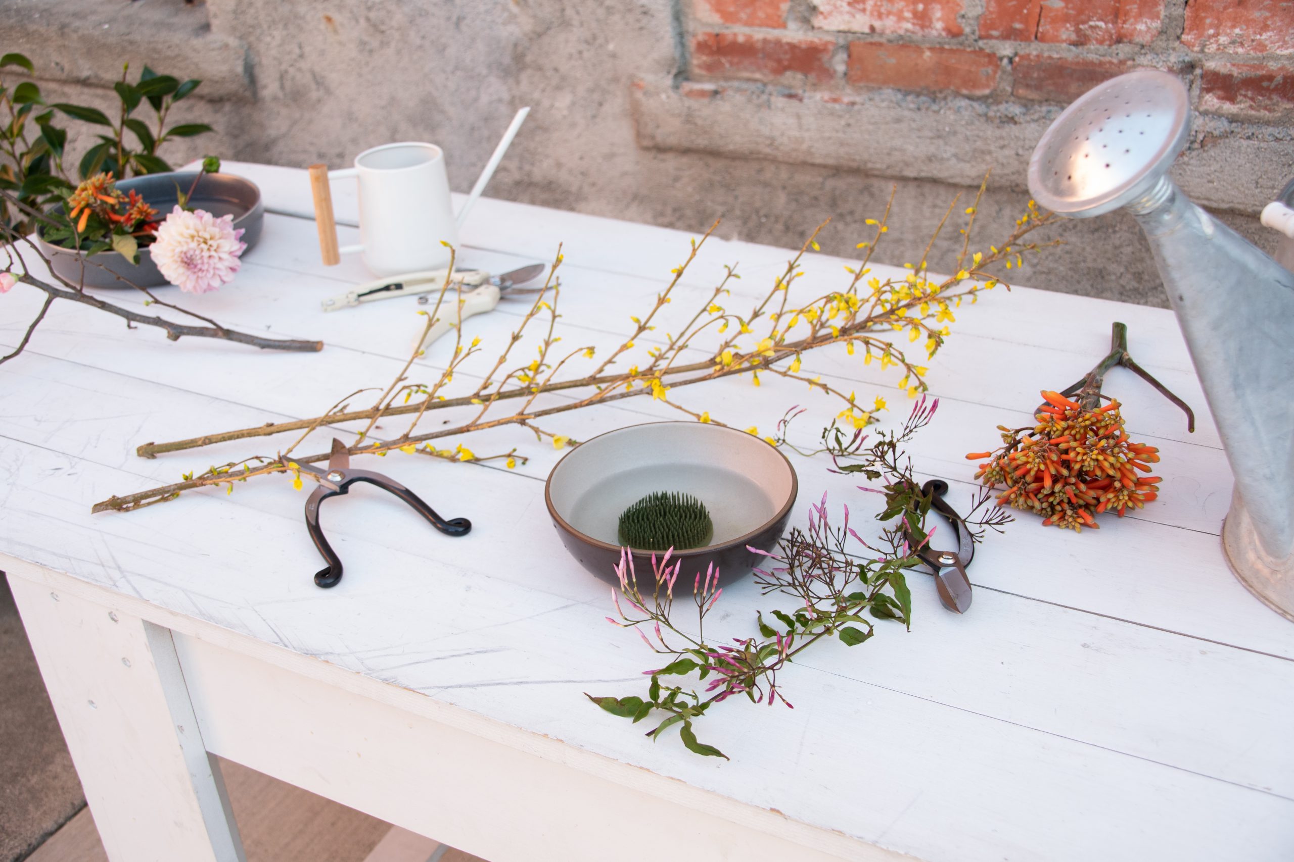 Studio Visit: Flora Animalia - COOL HUNTING®