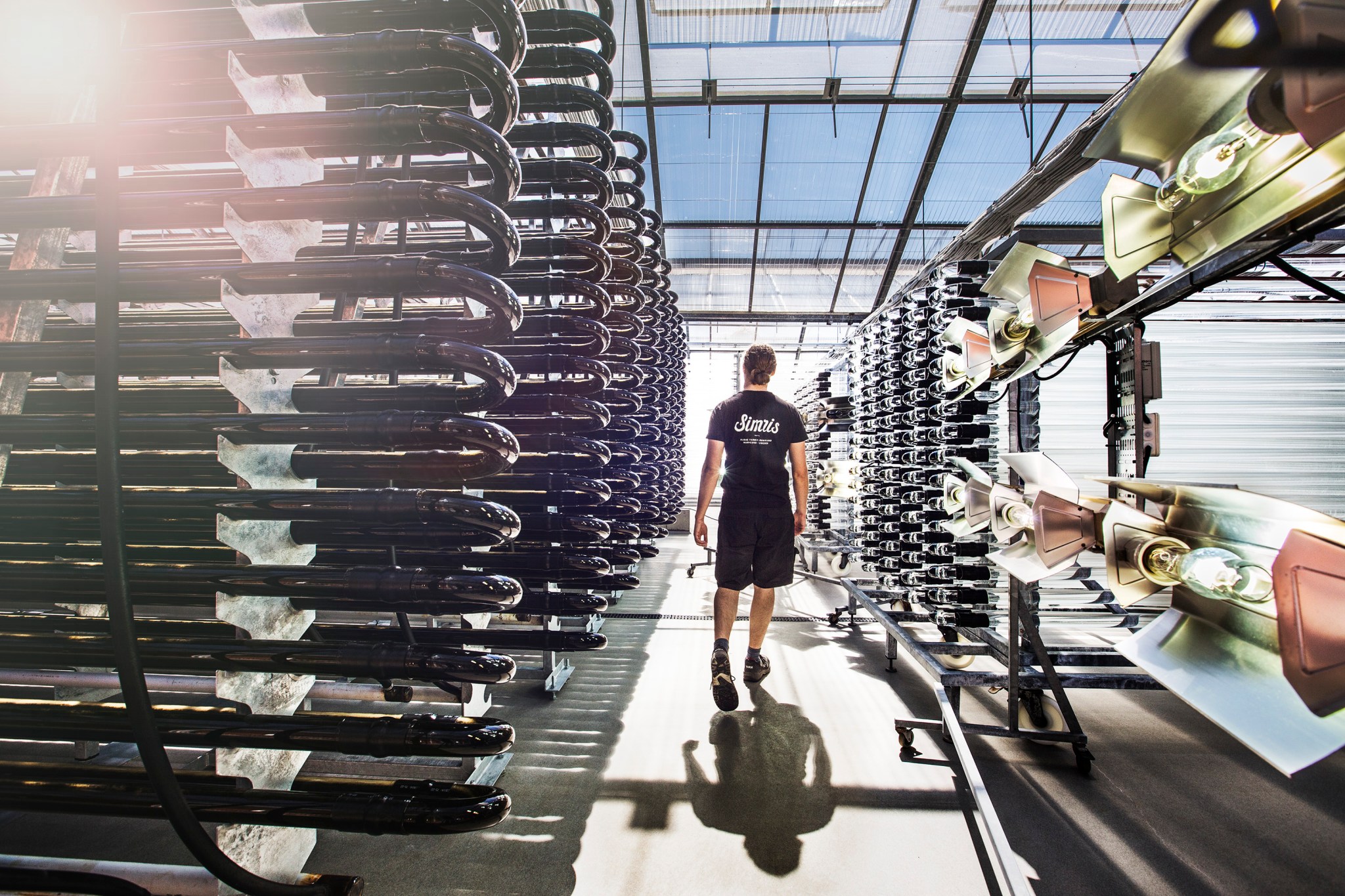 Simris Farm-to-Bottle Microalgae Supplements - COOL HUNTING®