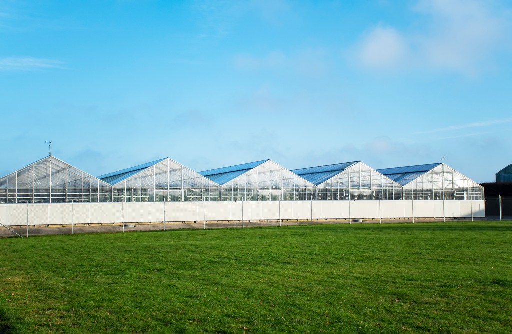 Simris Farm-to-Bottle Microalgae Supplements - COOL HUNTING®