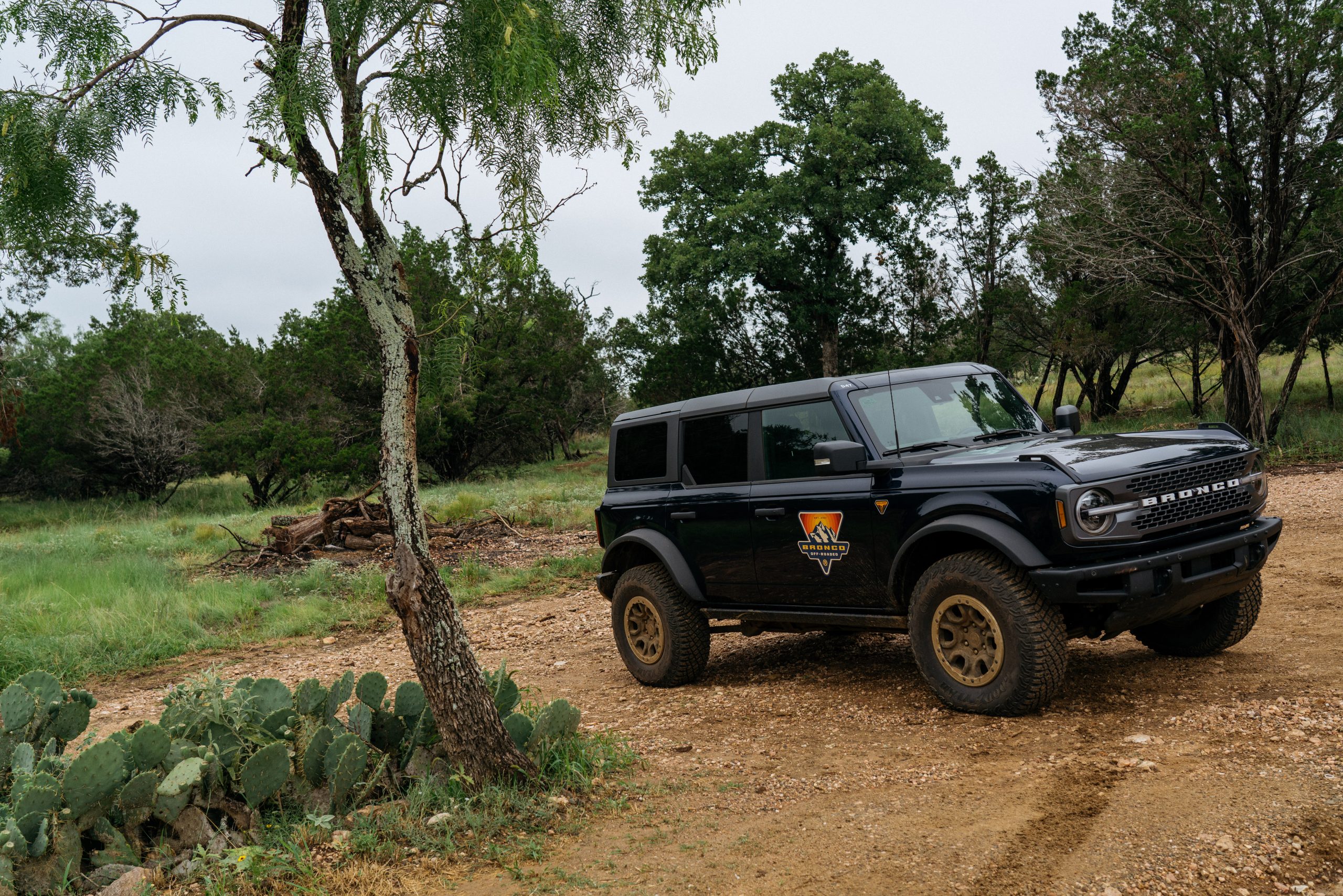 The Triumphant Return of the Ford Bronco - COOL HUNTING®