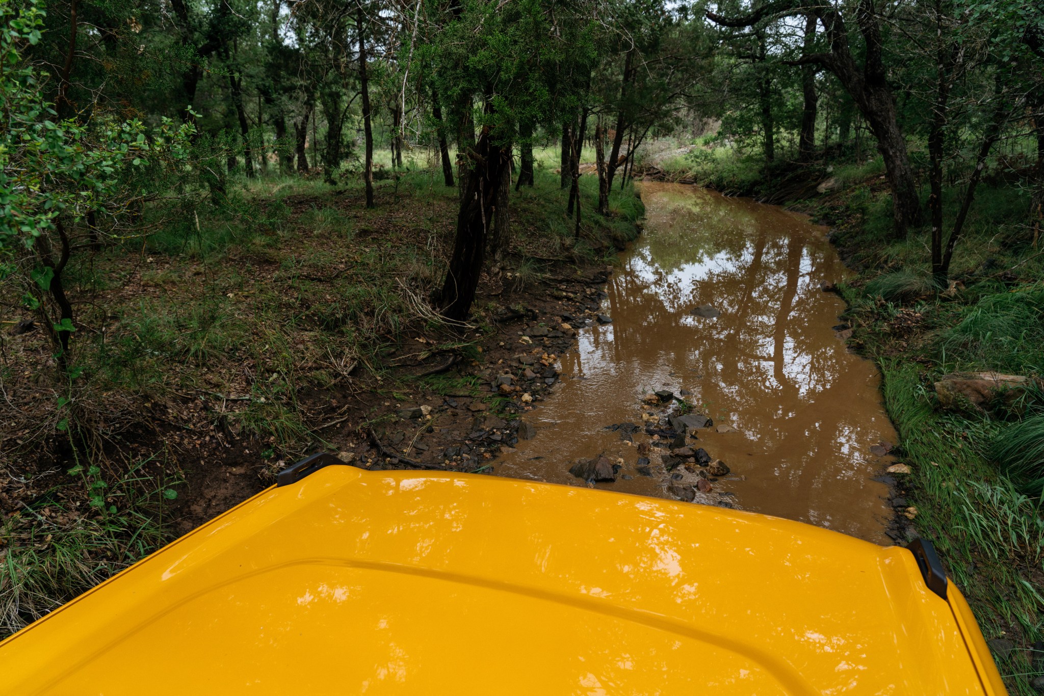 The Triumphant Return of the Ford Bronco - COOL HUNTING®