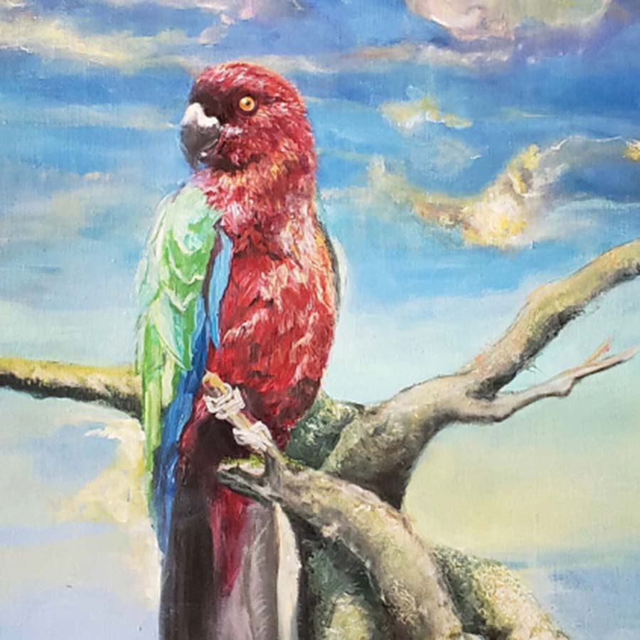 Alex Winston: Wash - COOL HUNTING®