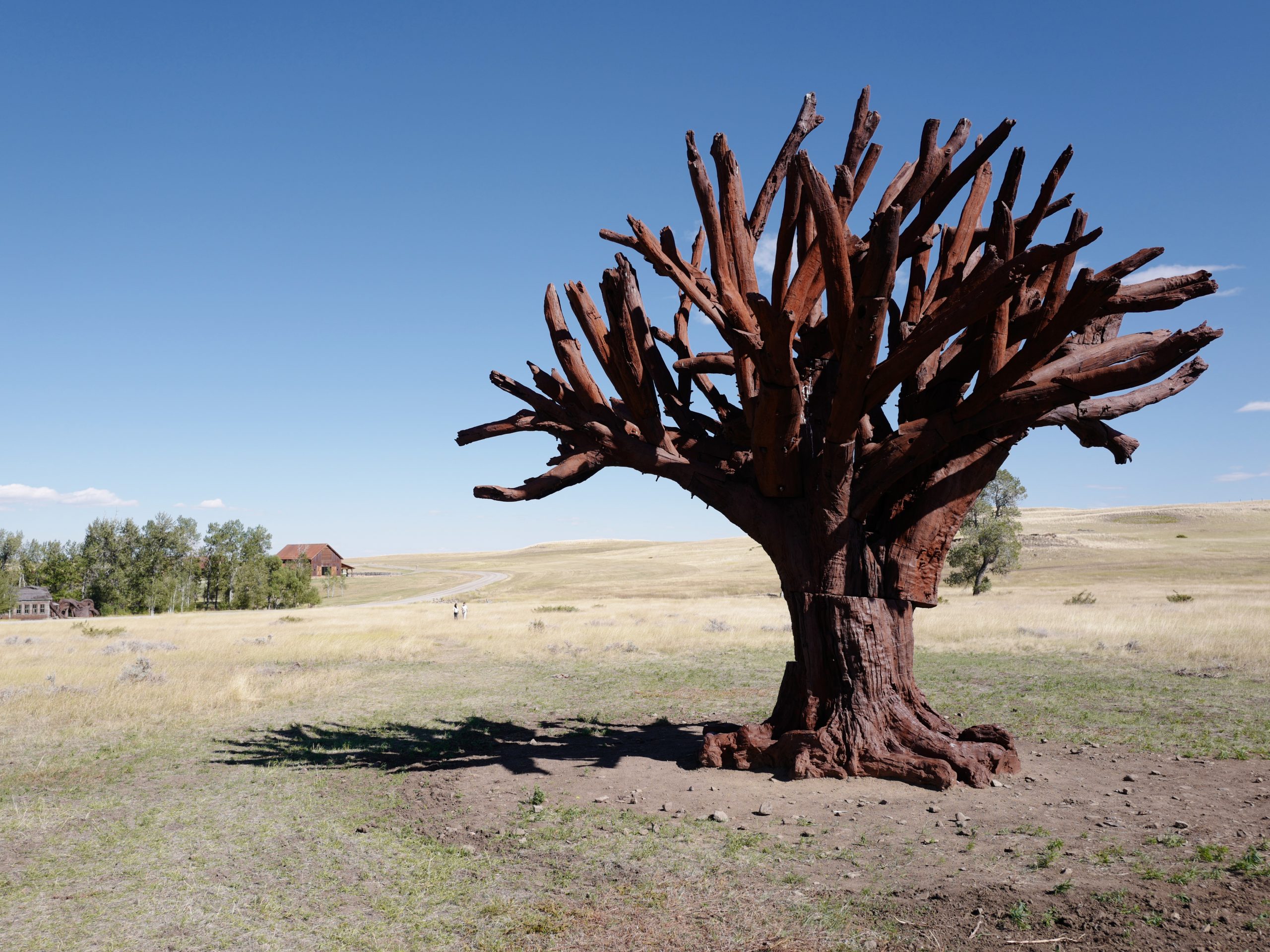 Tippet Rise Art Center, Montana - COOL HUNTING®