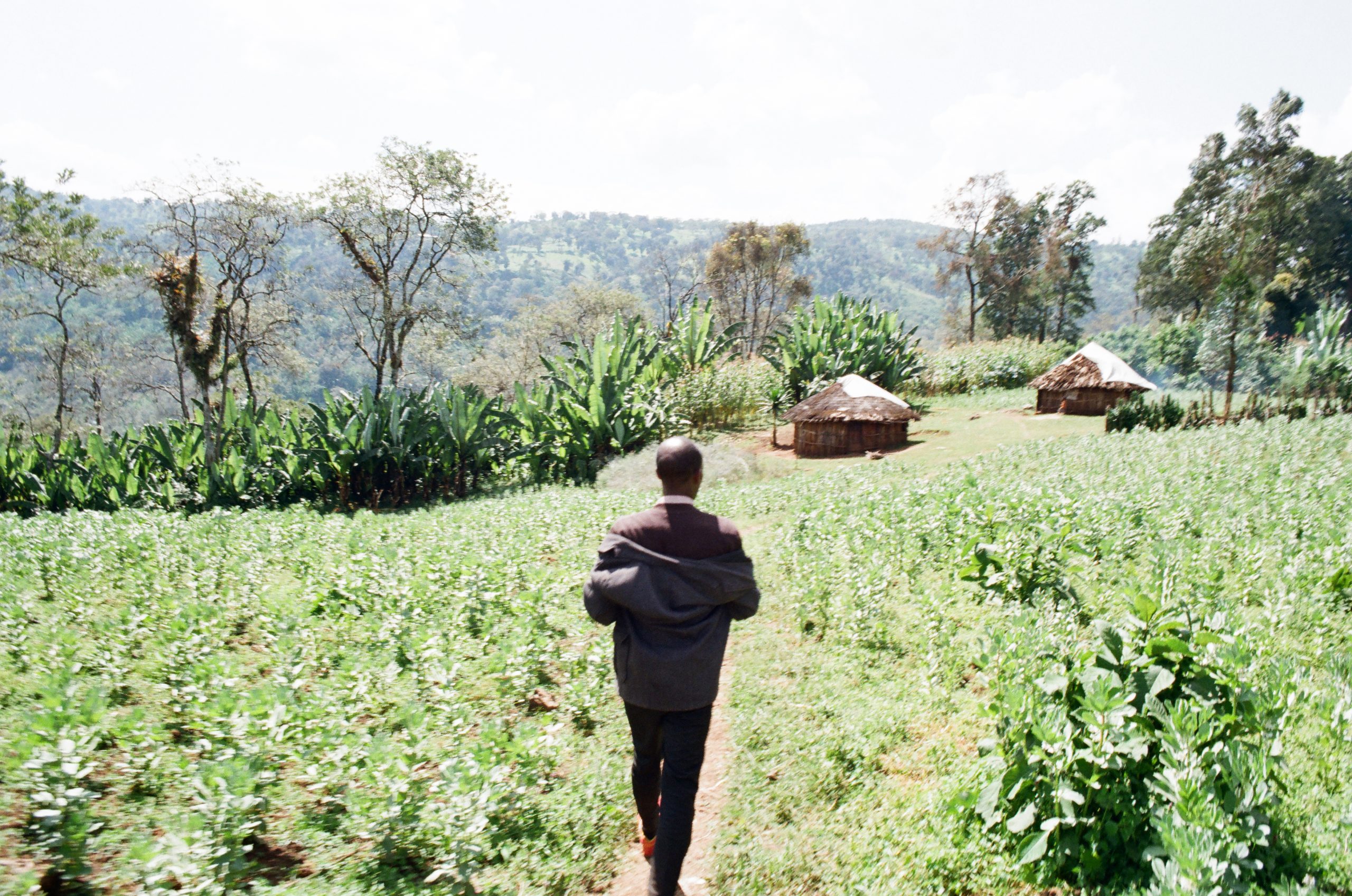 Cxffeeblack’s Mission to Decolonize the Coffee Industry - COOL HUNTING®