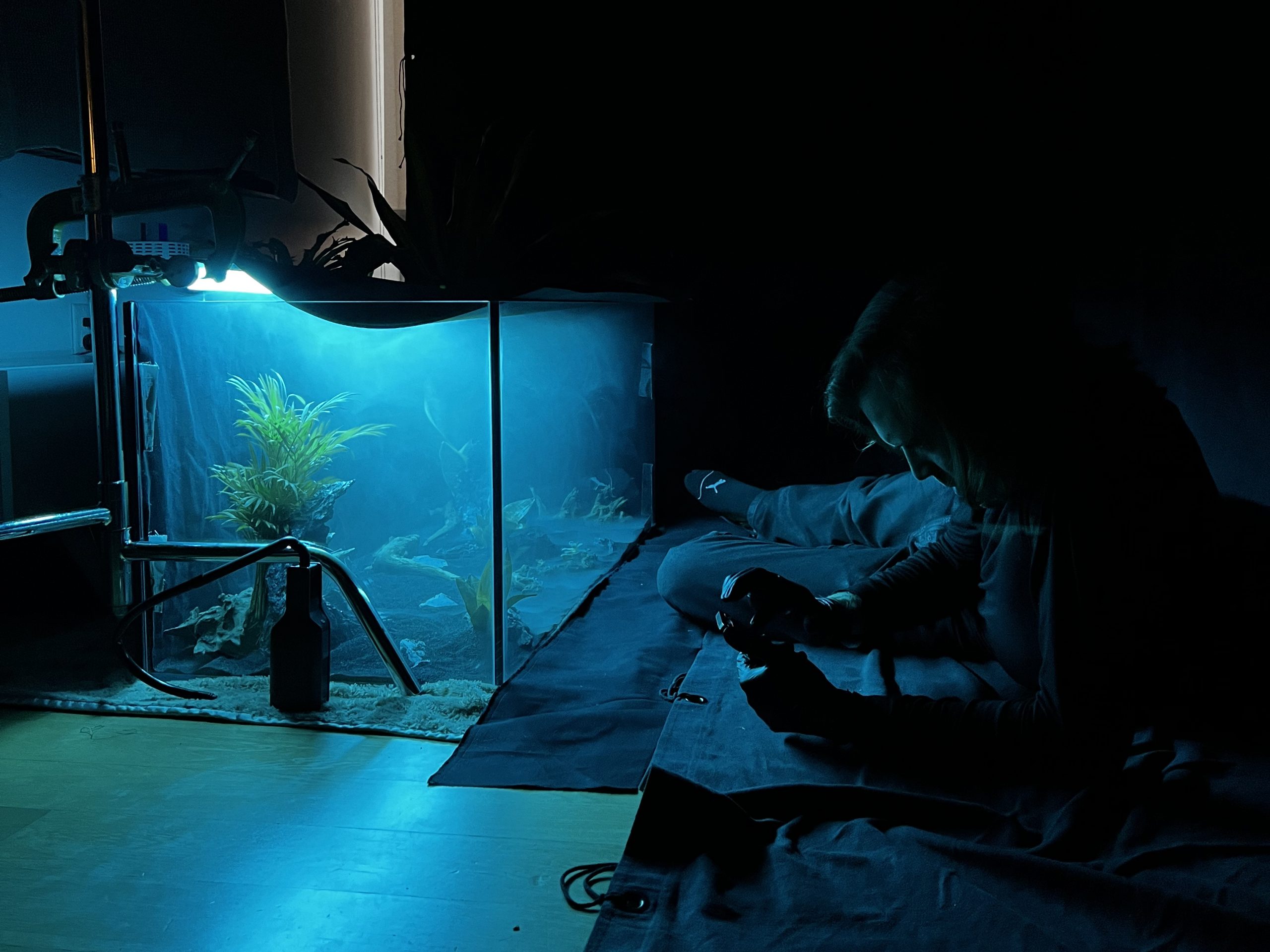 David Ma’s iPhone 14 Pro Film, PINCH - COOL HUNTING®