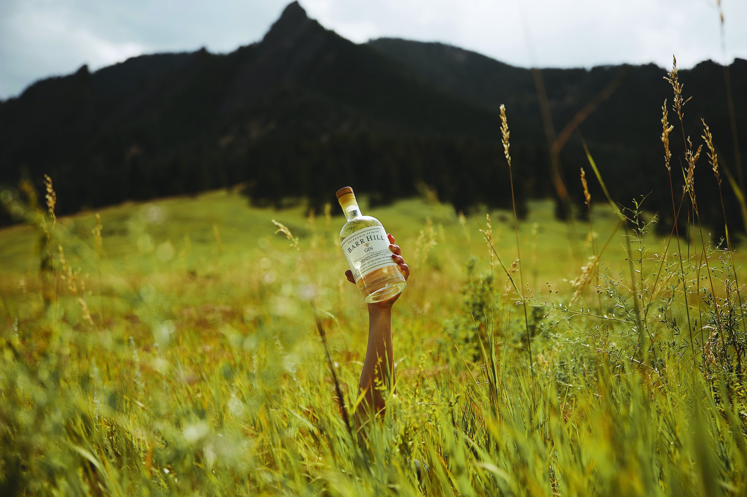 Vermont’s Honeybee-Inspired Barr Hill Gin - COOL HUNTING®