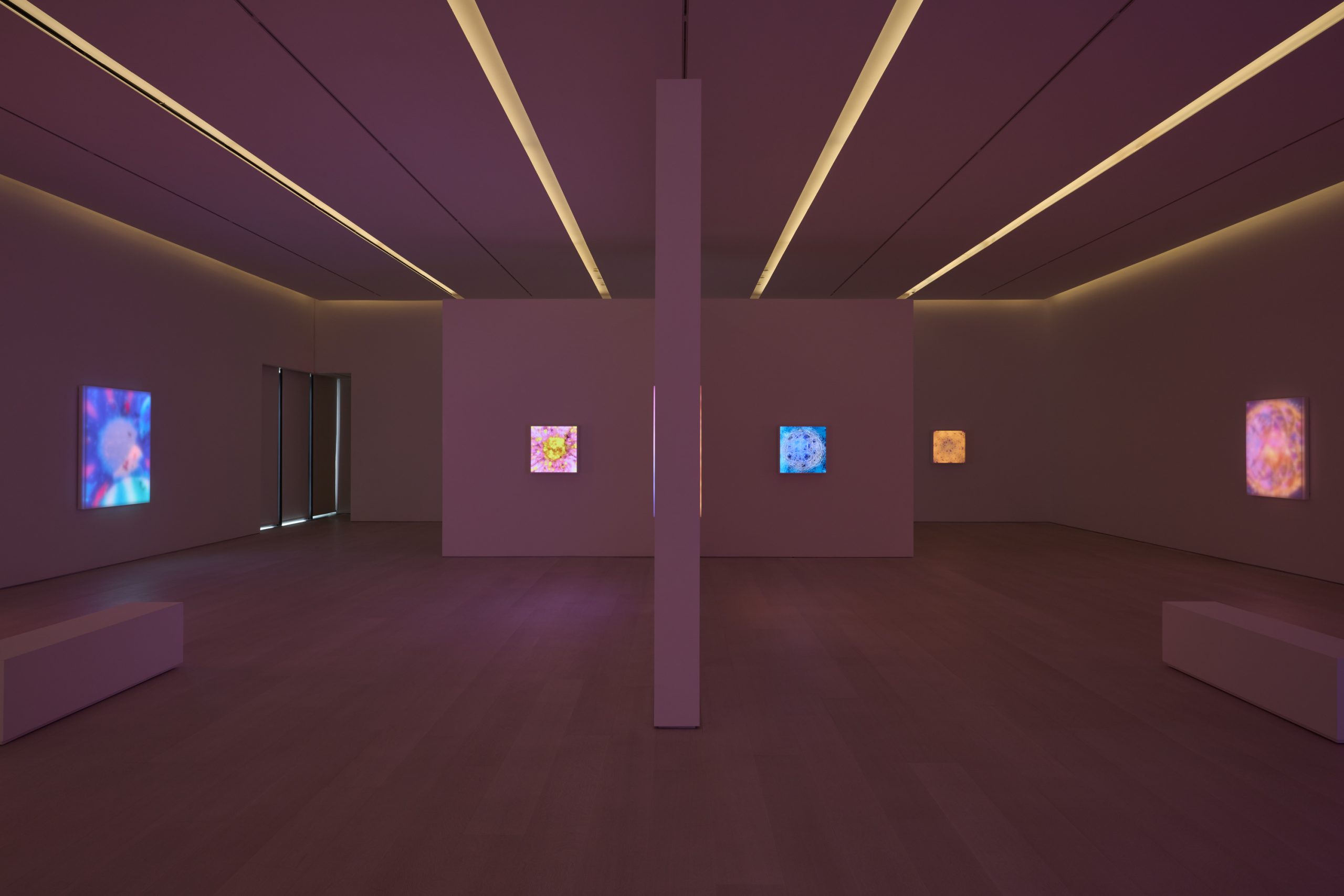 Leo Villareal’s “Interstellar” Generates the Visual and Sensorial ...
