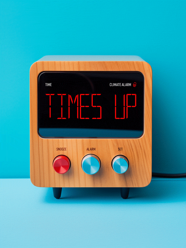 BETTER Climate Store Makes Earth Cooler - COOL HUNTING®