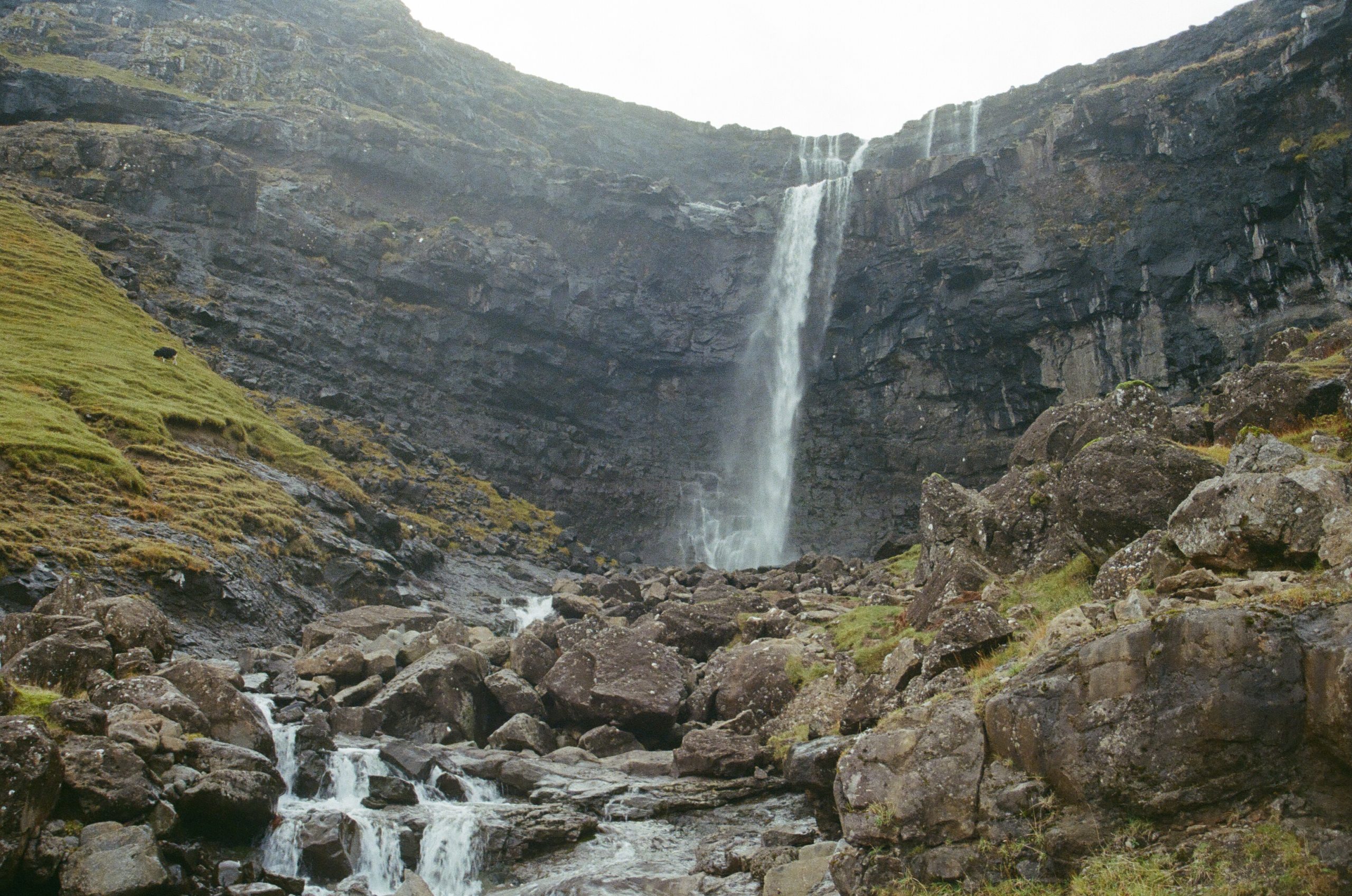 Word of Mouth: Art and Culture on the Faroe Islands - COOL HUNTING®