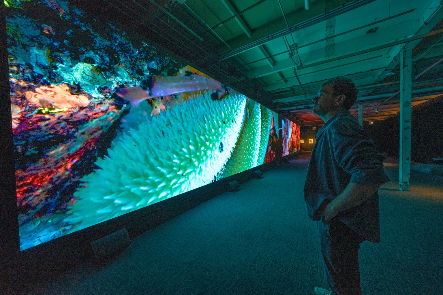 10-Foot-Long Fish Thriving Again in The Amazon River - COOL HUNTING®