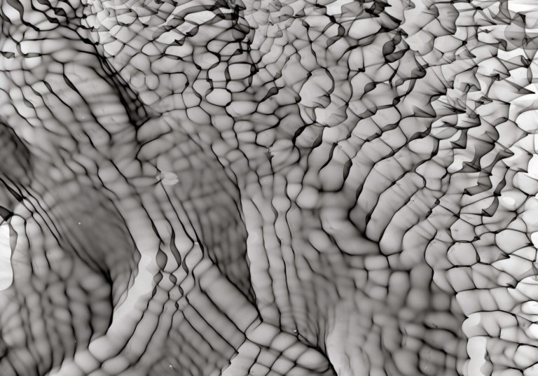 Lachlan Turczan’s Cymatic Watergrams - COOL HUNTING®