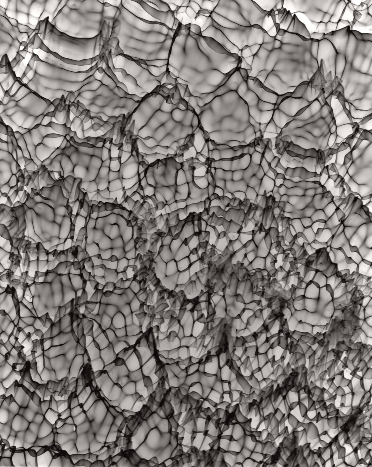 Lachlan Turczan’s Cymatic Watergrams - COOL HUNTING®