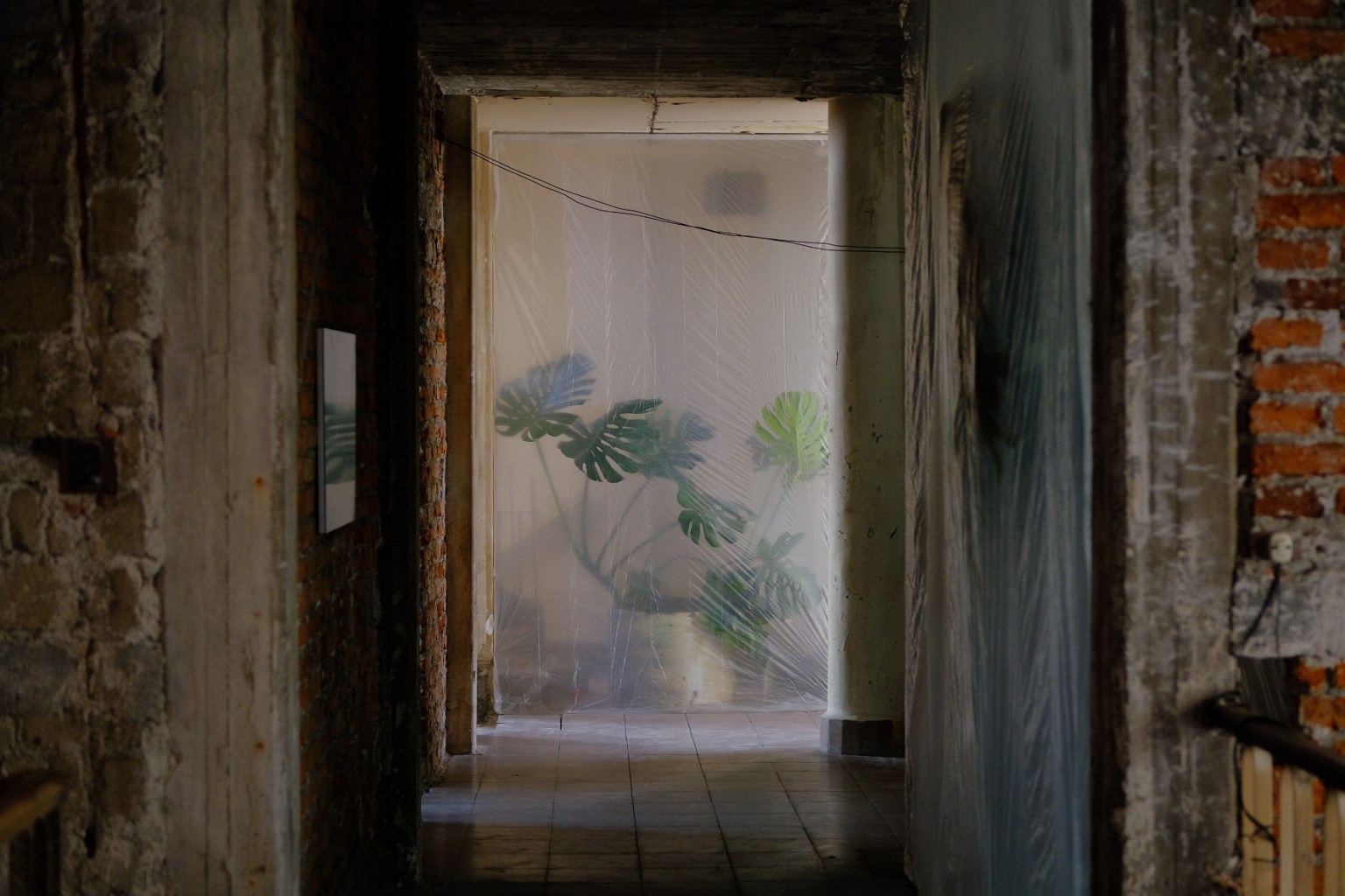 Artist Pandora Graessl’s Transportive “Amor Fati: When the Fire Bit Me” Exhibition - COOL HUNTING®