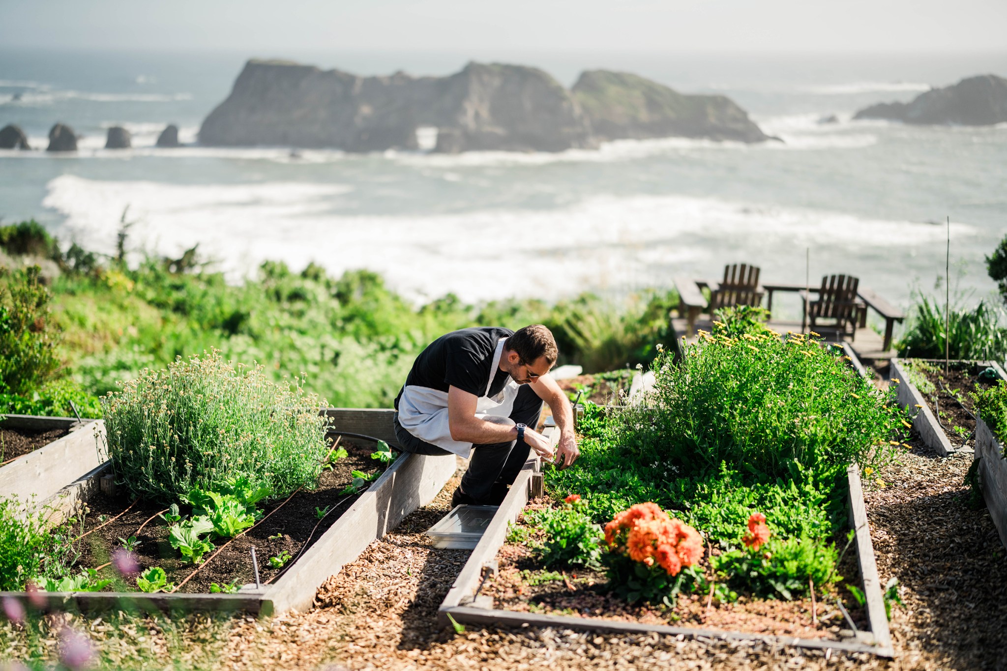 The Latest Single Ingredient Journey of Krug Blooms at Harbor House ...