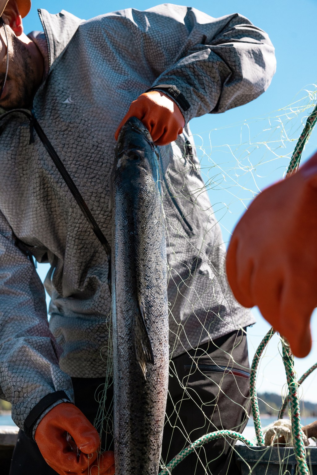 Interview: Cole Sparrow-Crawford on His Walk Gently Collaboration with ...