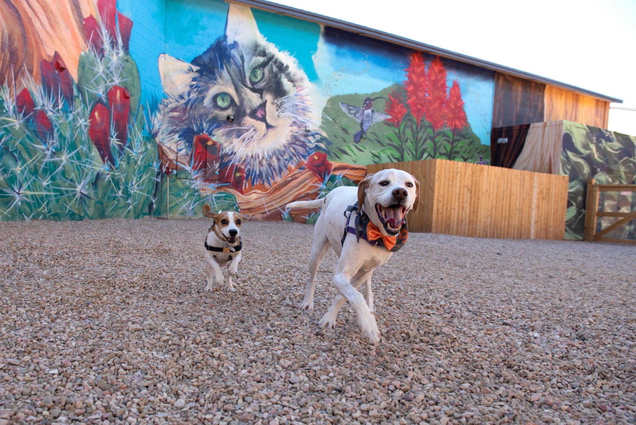 Inside Southern Utah’s Best Friends Roadhouse and Mercantile - COOL ...
