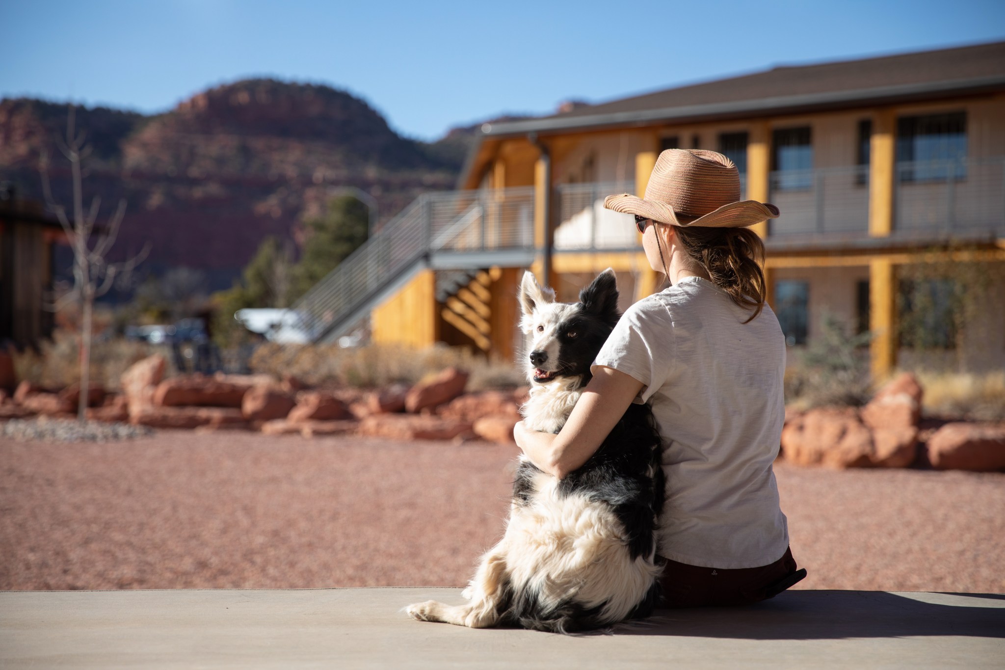 Interview: Jamie Knowles, Founder of Dog-Focused Travel Gear Company ...