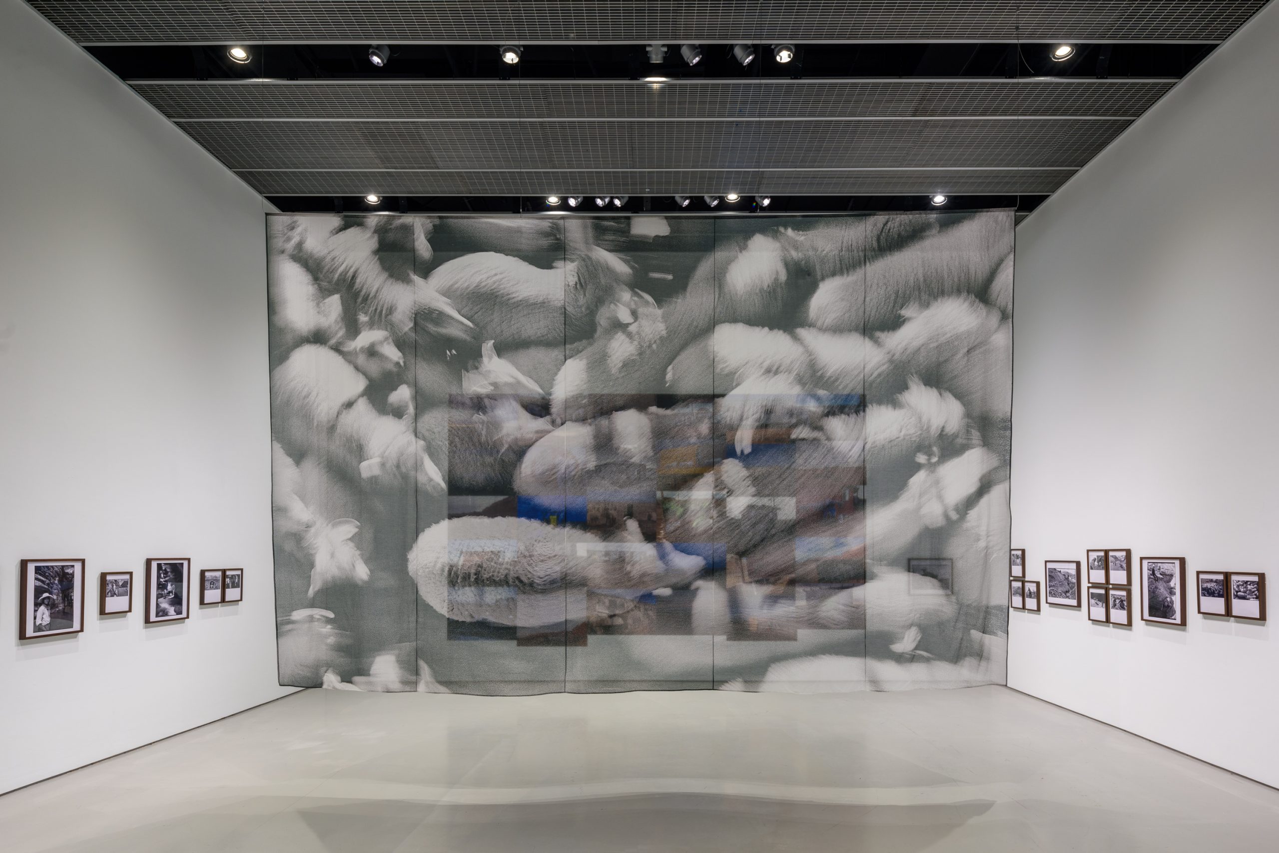 Attending the 2024 FotoFocus Biennial: Backstories - COOL HUNTING®